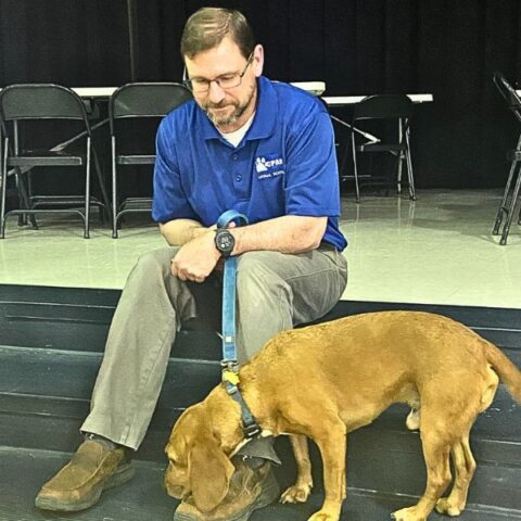 Best Veterinary Hospital In Concord, NC | Concord Parkway Animal Hospital